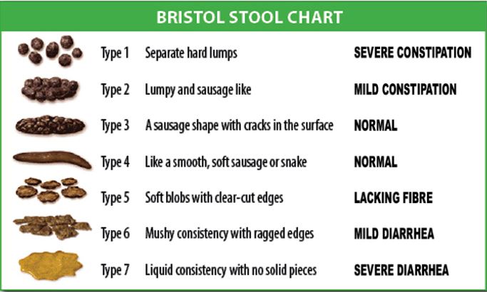 Vet Approved Cat Stool Chart: Decoding Your Cat's Poop, 49% OFF Vet Approved Cat Stool Chart: Decoding Your Cat's Poop, 49% OFF