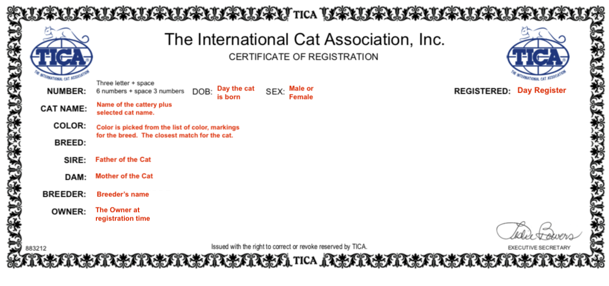 CAT REGISTRATION WHAT IS SBT? - The KezKatz Cattery